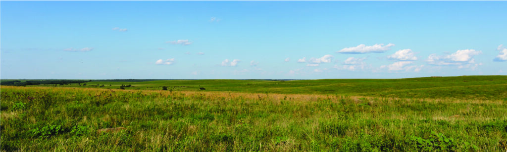 Go Green (and Save Green) with These 4 Earth Day Essentials - Power ...